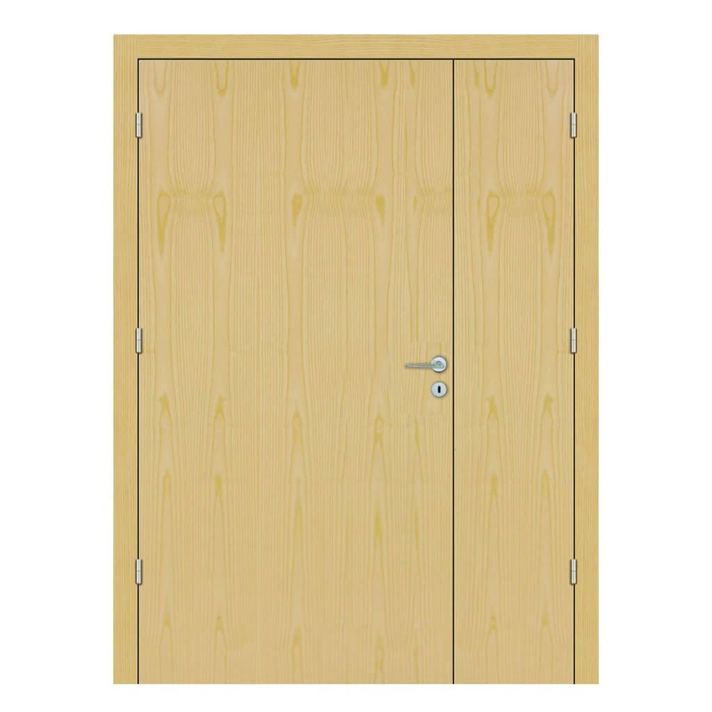 Ash Solid Core Hospital Door